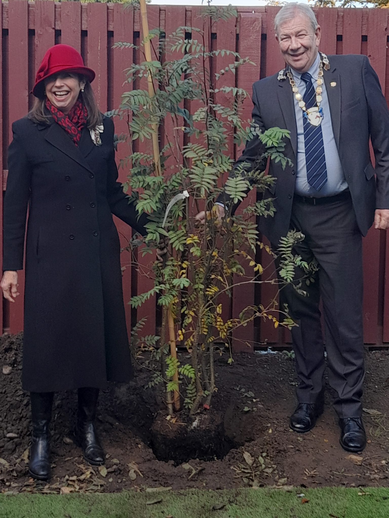 The Queen’s Green Canopy, Tree of Trees - South Ayrshire Women
